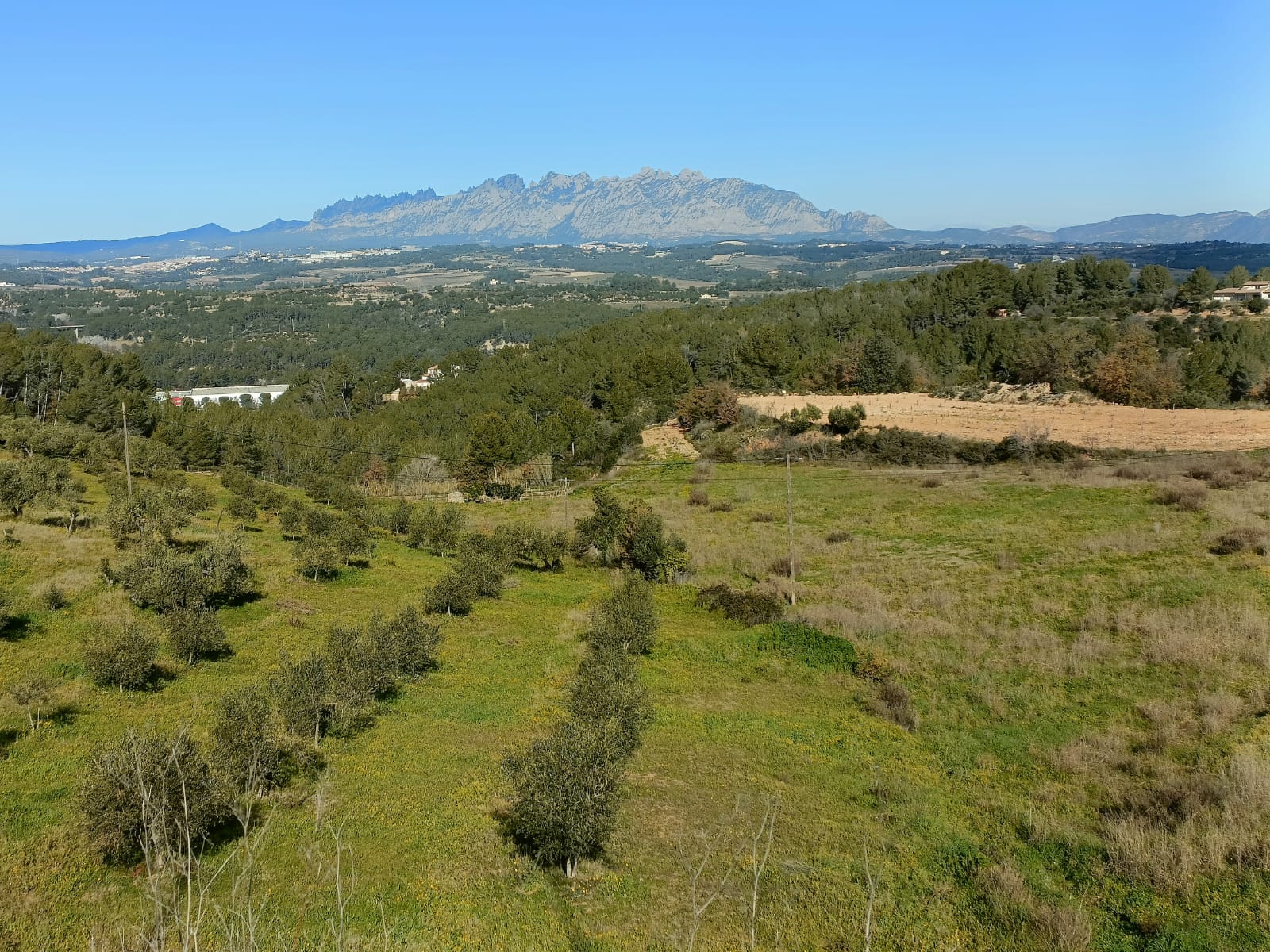 ROGAINE MUNTANYES D'ORDAL - GELIDA 2025