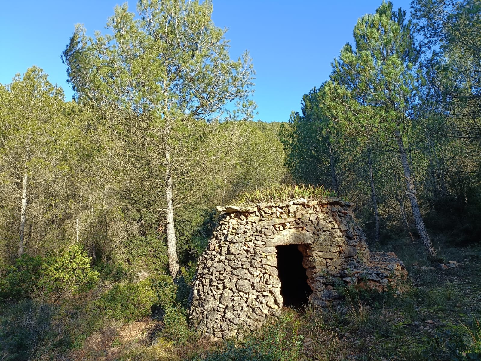 ROGAINE MUNTANYES D'ORDAL - GELIDA 2025